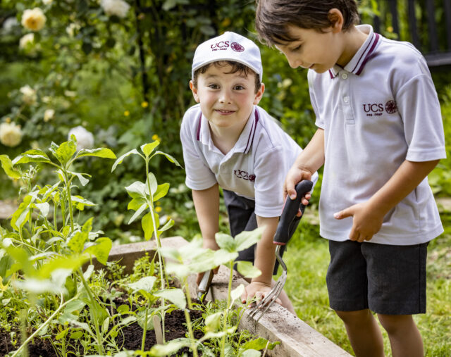 UCS Green Impact Society Leading The Way - HMC (The Heads' Conference)